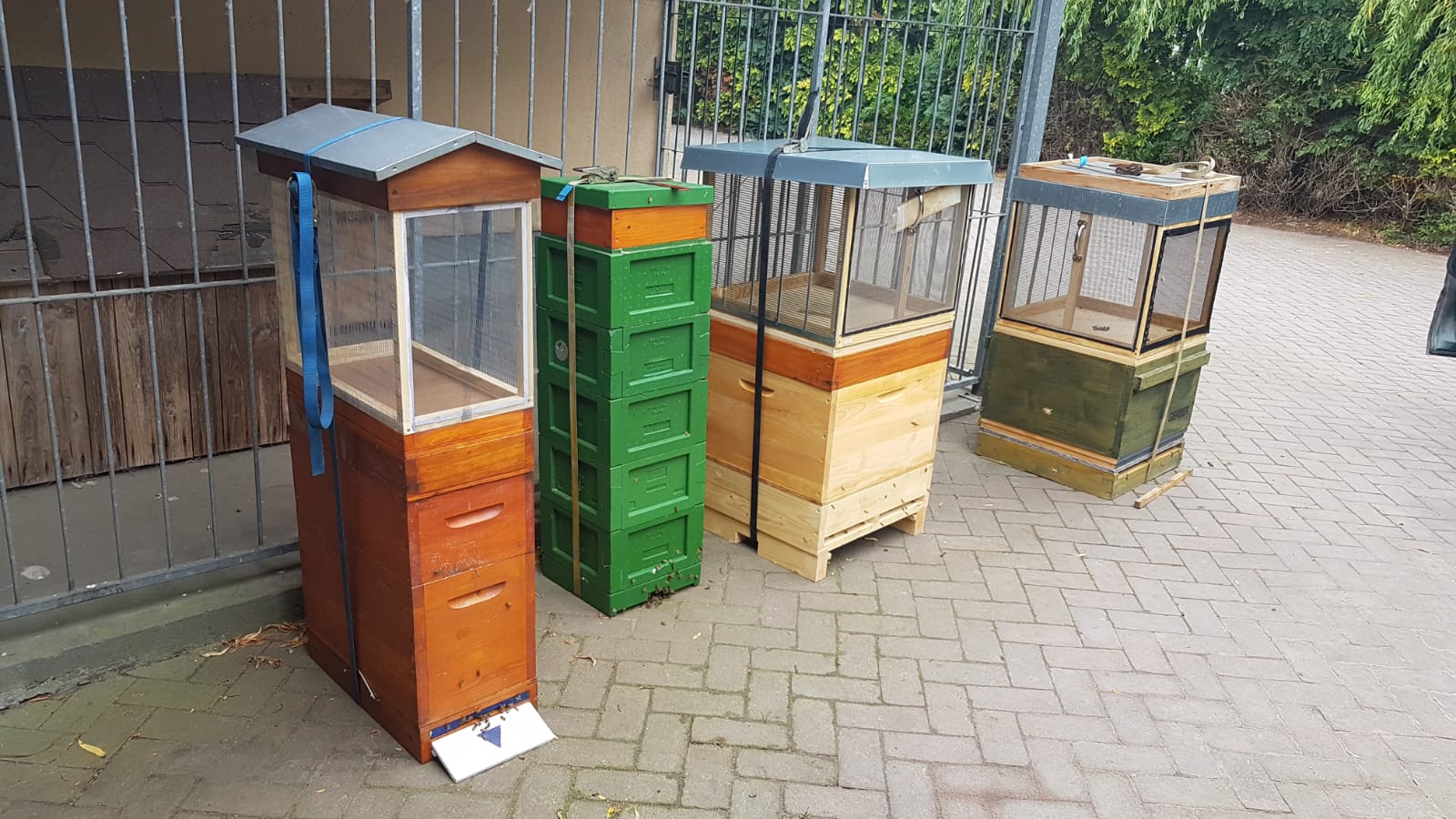 IB KF-001 – Buckfastimker Nord Ost e.V. (BNO)